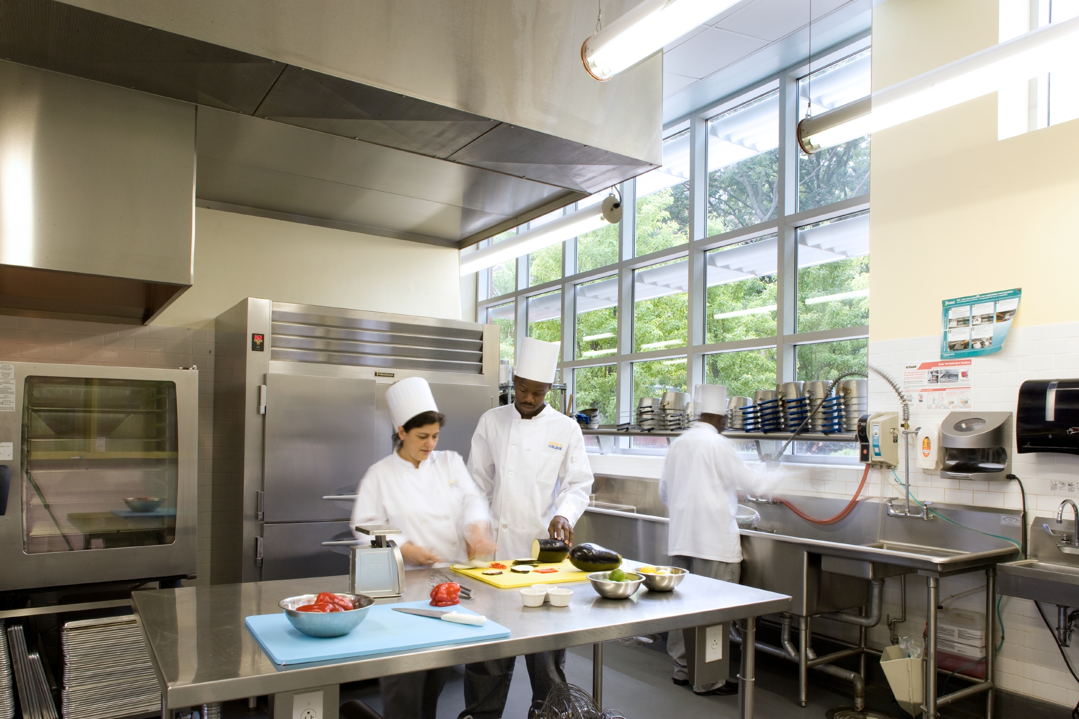 Portfolio – CFL Design